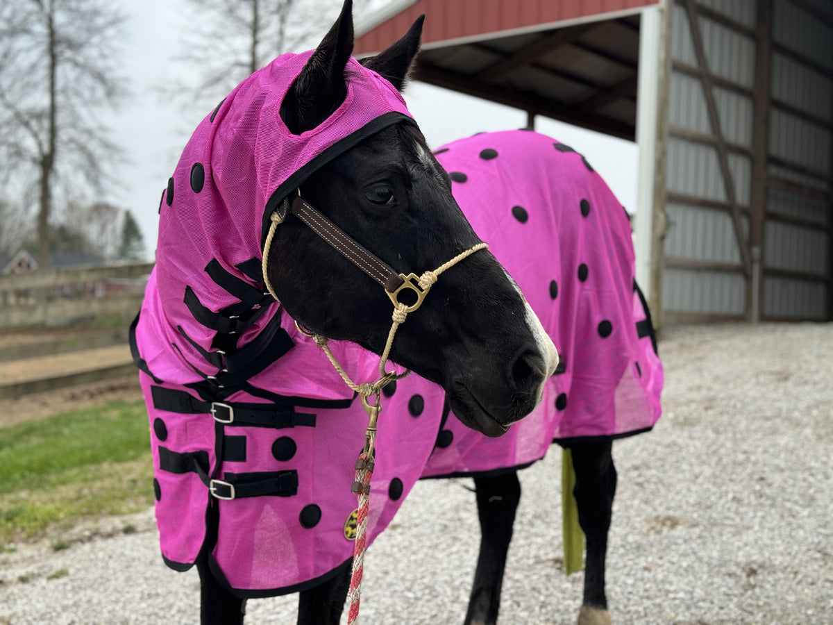 Magnetic Sheet, 2024 Color – Pretty Polos By Jessie & Lopin' With Grace ...