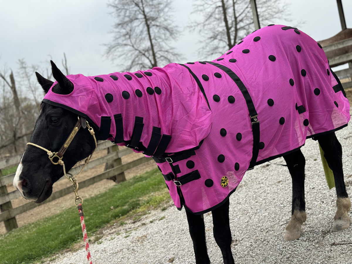 Magnetic Sheet, 2024 Color – Pretty Polos By Jessie & Lopin' With Grace ...